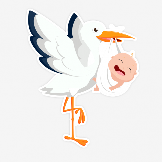 Startseite - Babystorch kaufen | Geburtsstorch | Storch zur Geburt